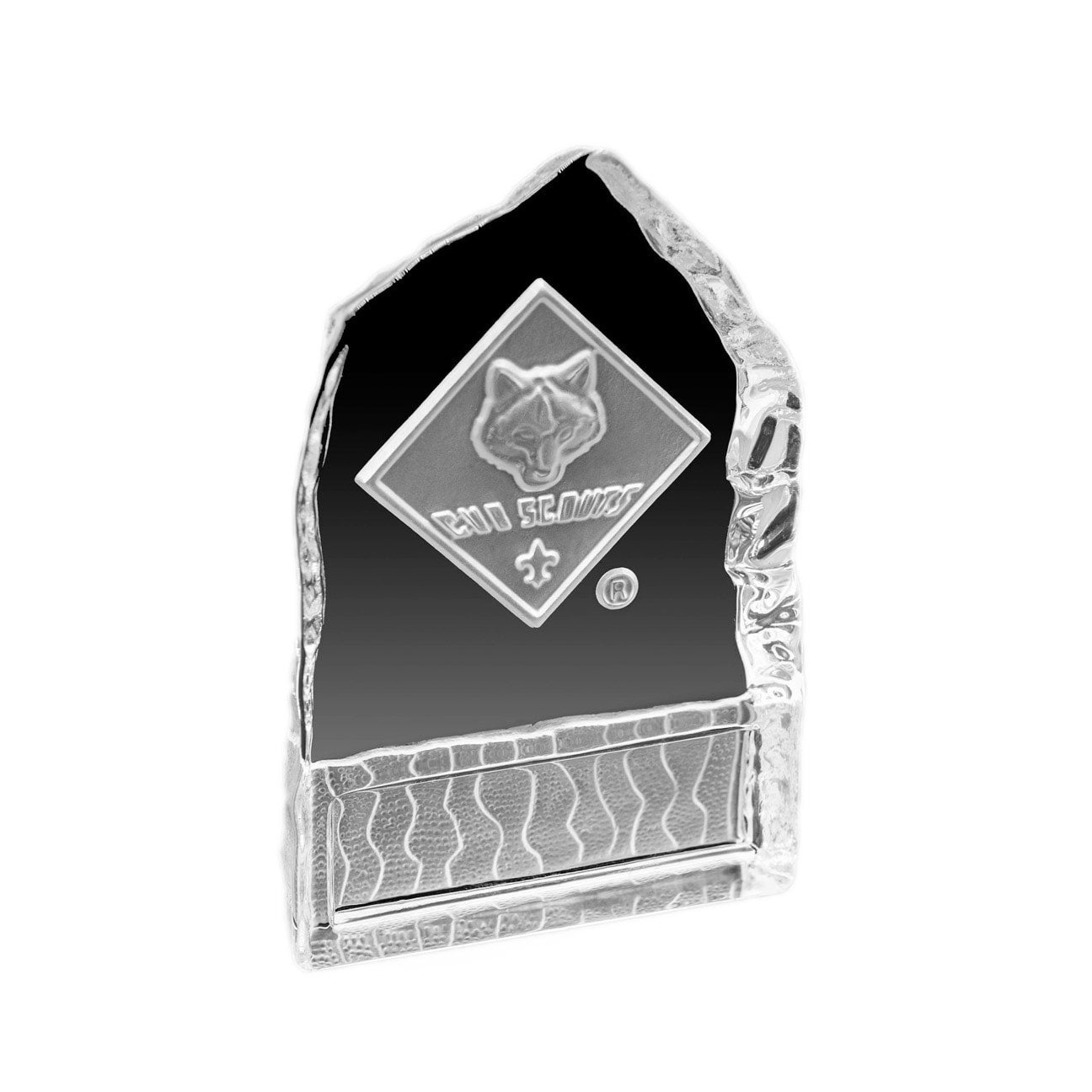 Award Iceberg Cub Scout | Scouting America, Patriots' Path Council