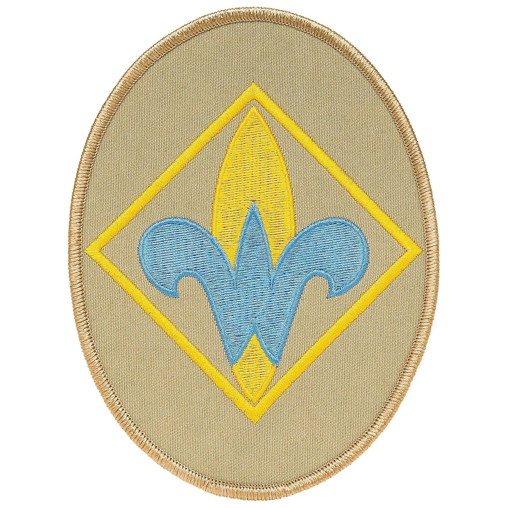 Cub Scout Jumbo Emblems | Scouting America, Patriots' Path Council